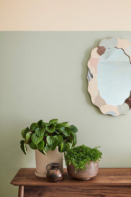 Little Greene ASP | Light Beauvais no. 323