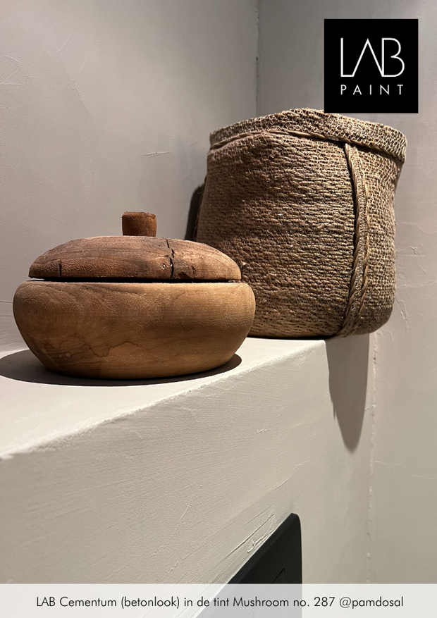 LAB Cementum Walls | MUSHROOM NO. 287 | Vestingh Paint • Craft • Lifestyle