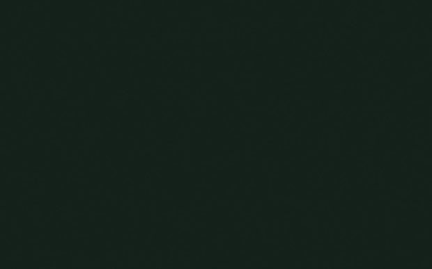 Traditional Oil Gloss | Obsidian Green no. 216 | Vestingh Paint • Craft ...