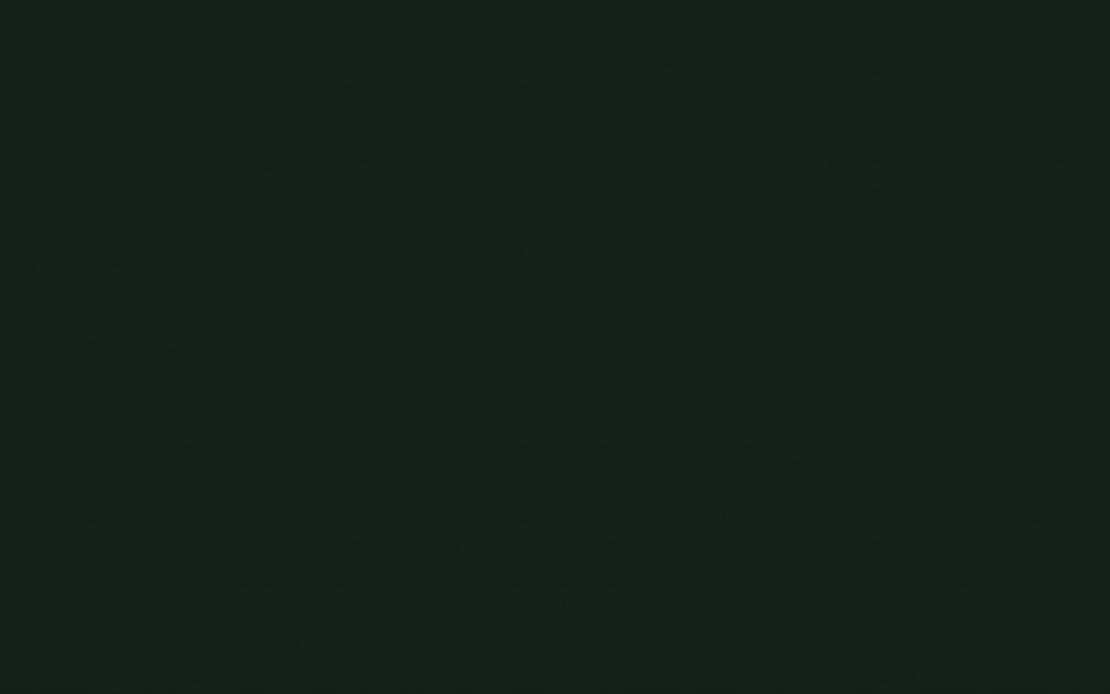 Little Greene Masonry Paint | Obsidian Green no. 216