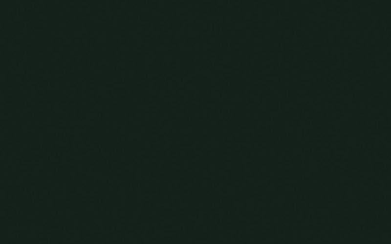 Little Greene Masonry Paint | Obsidian Green no. 216