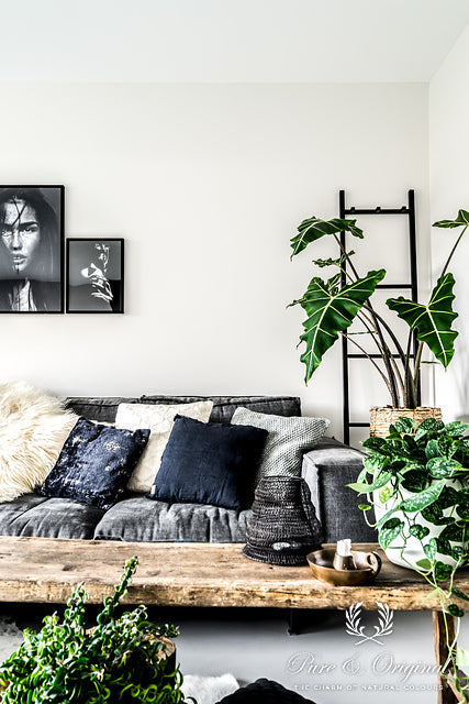 Pure & Original Marrakech Walls | Island White