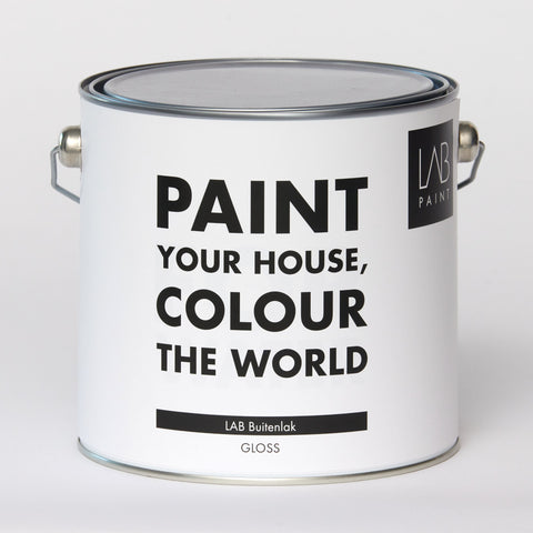 LAB PAINT Buitenlak | GORILLA GLAM NO. 386