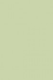 Farrow & Ball Masonry Paint | Cooking Apple Green no. 32