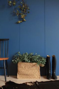 Farrow & Ball Casein Distemper | Pitch Blue no. 220